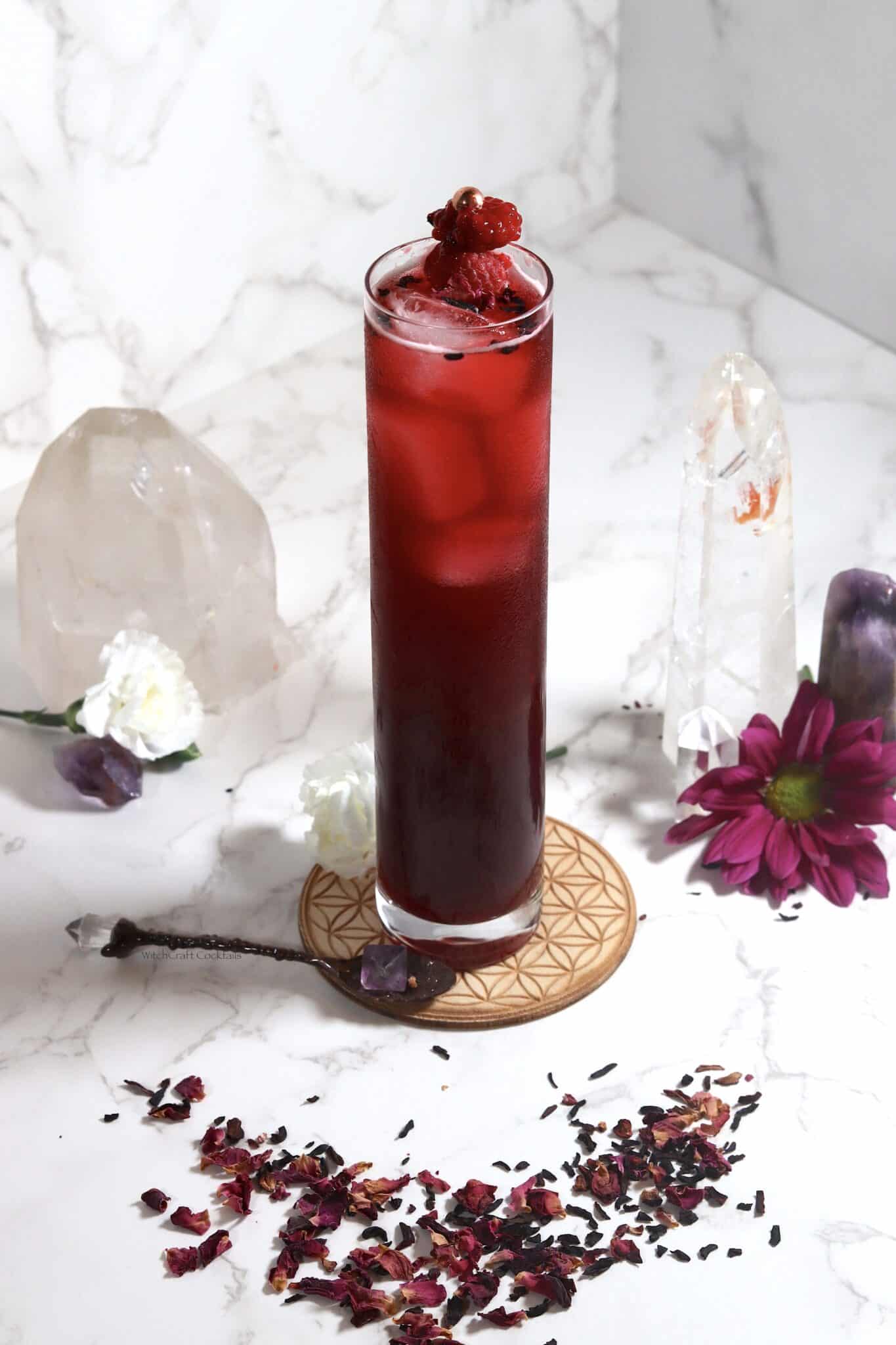 Hibiscus Moon Mix: A Good Vibes Hibiscus Drink Recipe - WitchCraft Cocktails